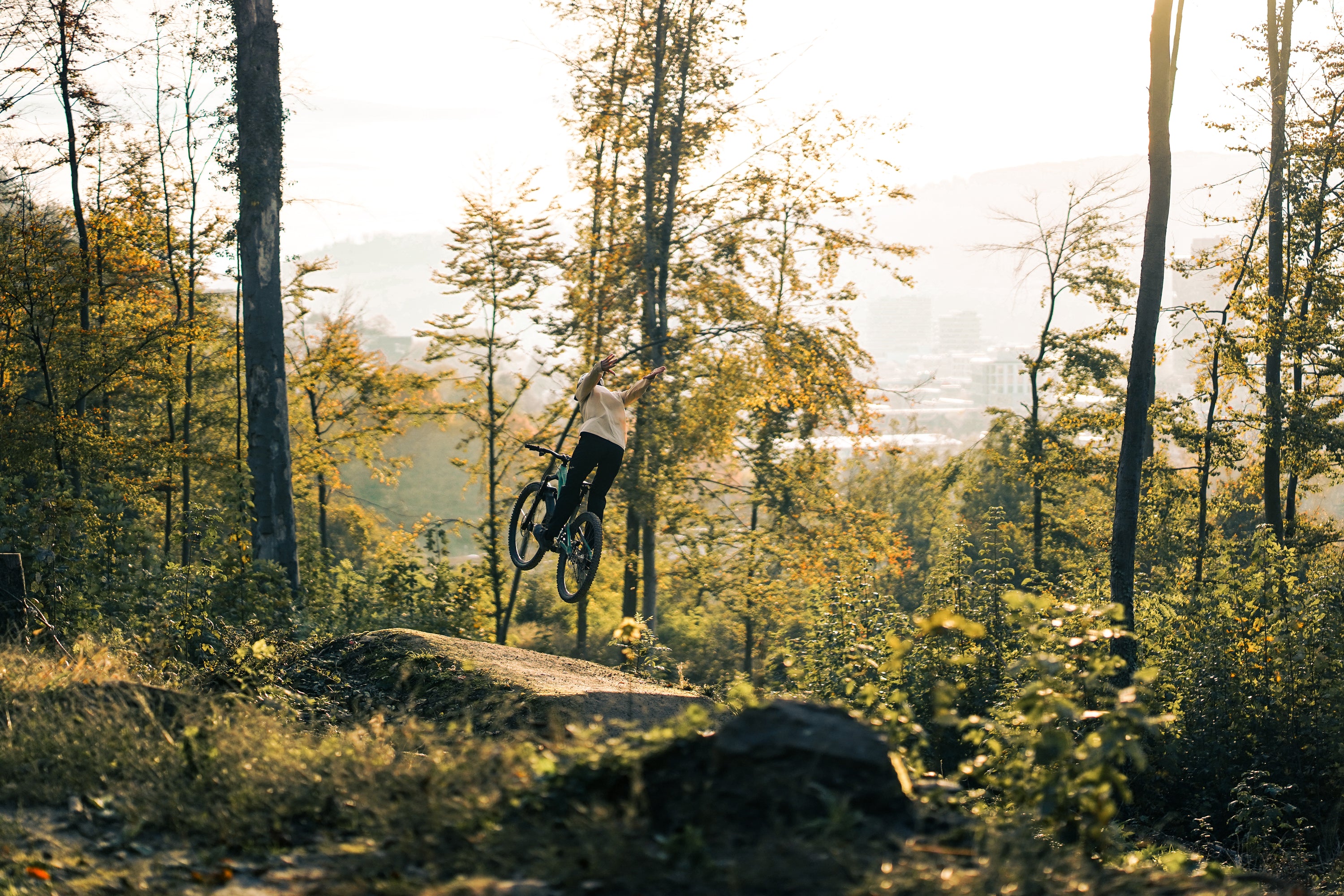 | Roots Distribution – Forbidden Bikes Switzerland
